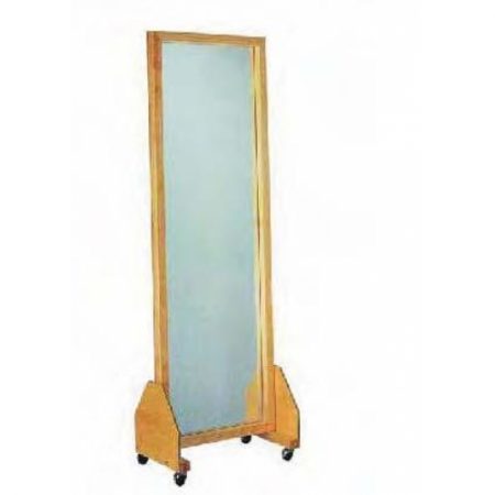 POSTURE CORRECTION MIRROR – Physiomedonline